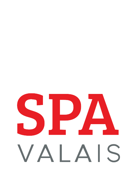 Broly, Border Collie - chien à adopter | SPA Valais | SPA Valais